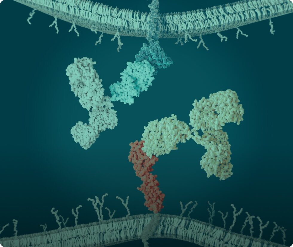 Coherus Oncology | Novel Combination Therapies for Cancer